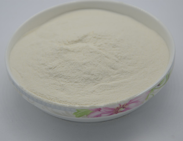 wholesale food grade nattokinase natto extract powder 20000fu